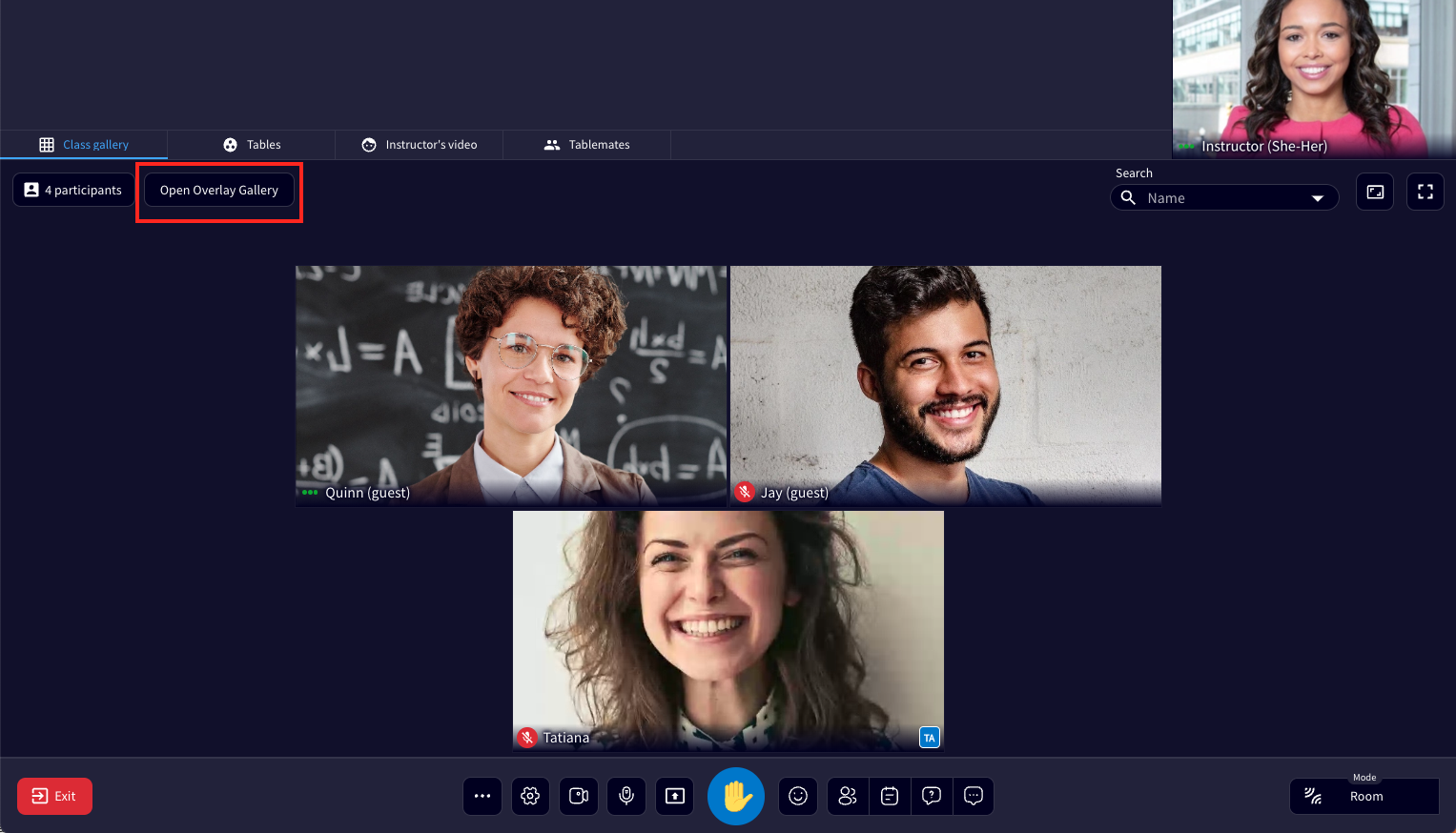 How to use the Overlay Gallery - Learner – Engageli Help Center