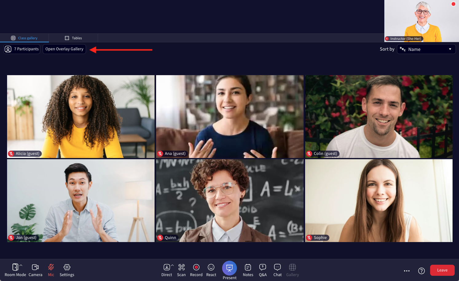 How to use the Overlay Gallery – Engageli Help Center