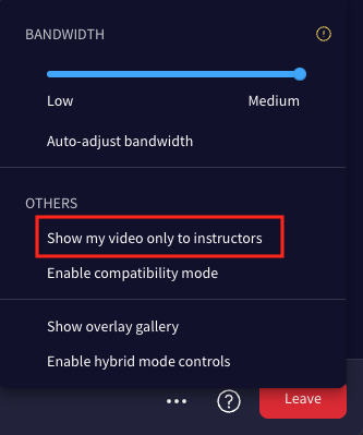 How to Show Your Video Only to the Instructor – Engageli Help Center